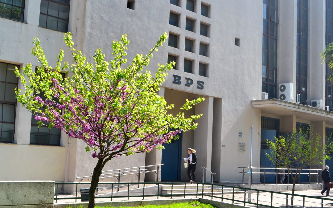 Plazo para reconocer años trabajados ante BPS se extendió hasta 2026
